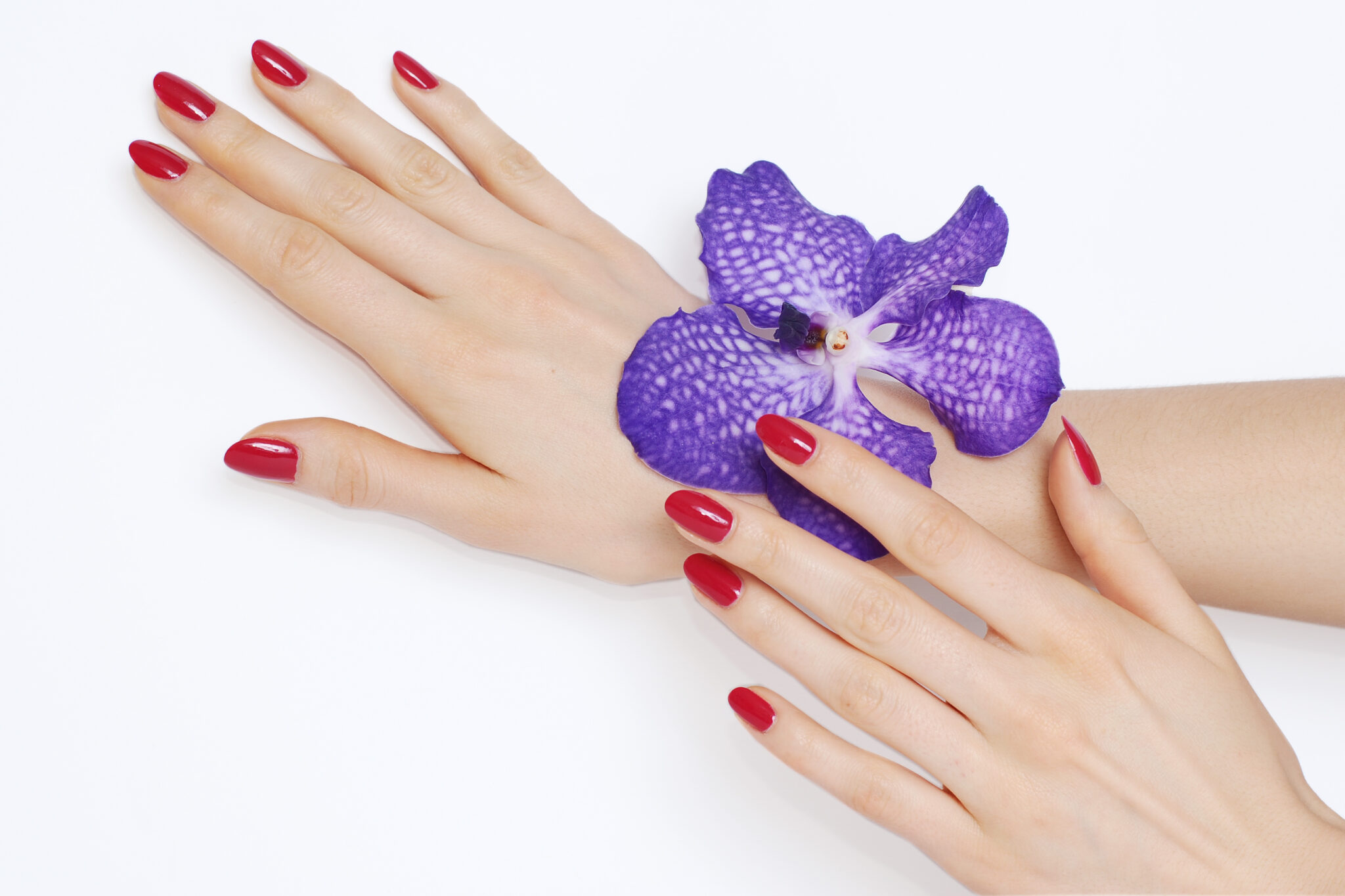 Luminous Nails Spa – Nail Salon